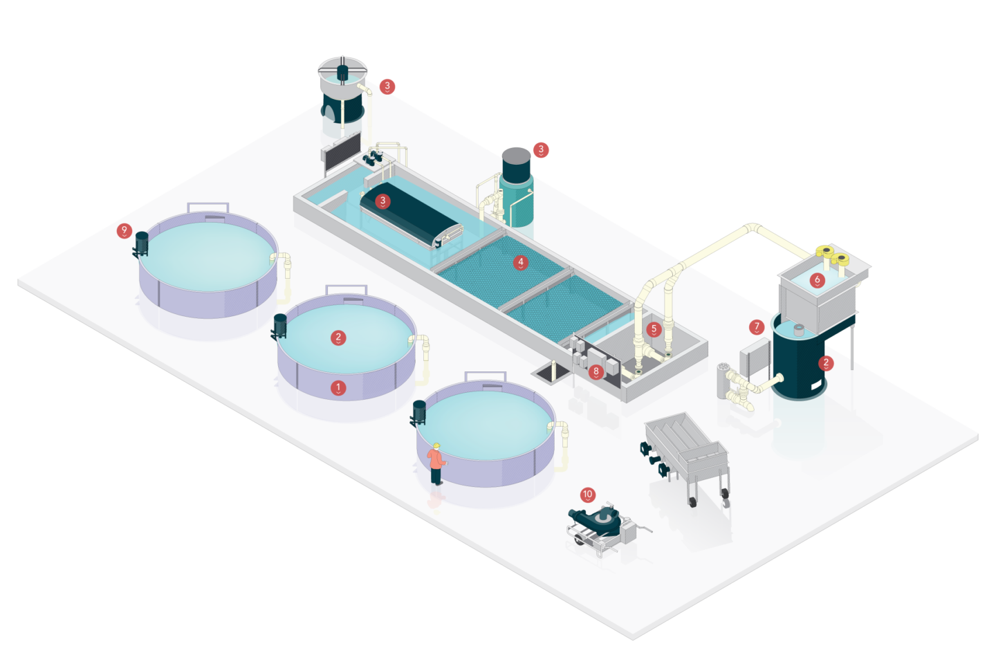 Recirculating Aquaculture System (RAS) Design | Innovasea