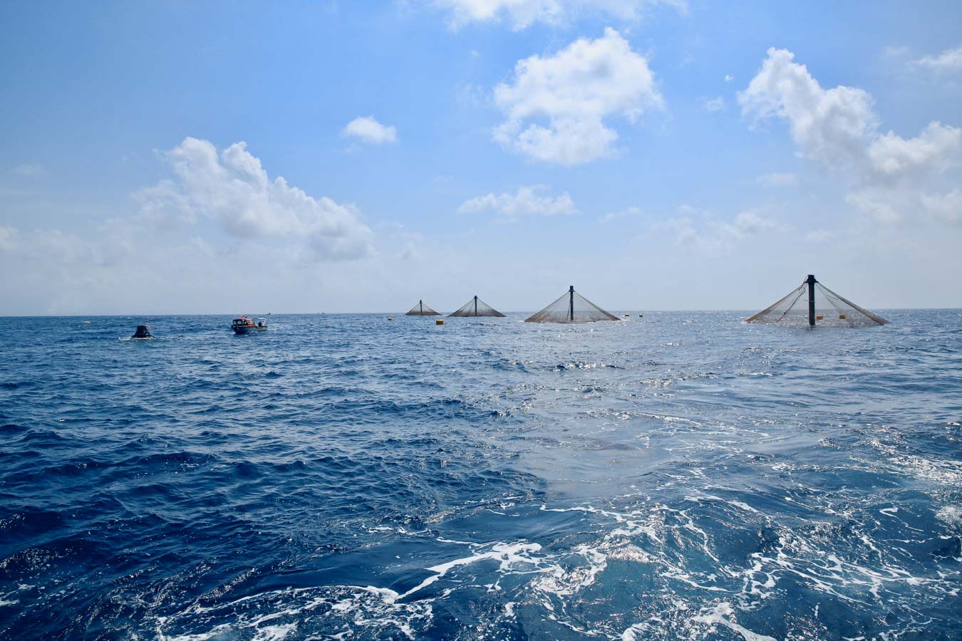 SeaStation Net Pens for Aquaculture | Innovasea
