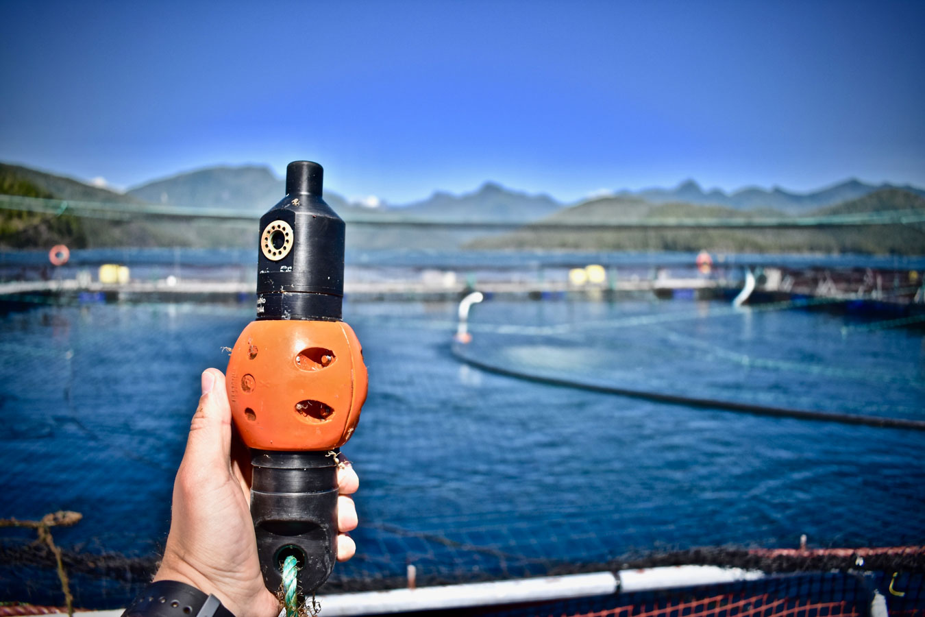 Wireless Sensors for Aquaculture | Innovasea