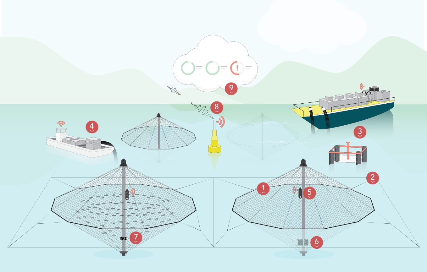 Open Ocean Aquaculture | Innovasea