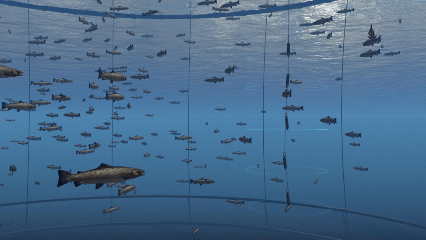 Wireless Sensors for Aquaculture - Innovasea