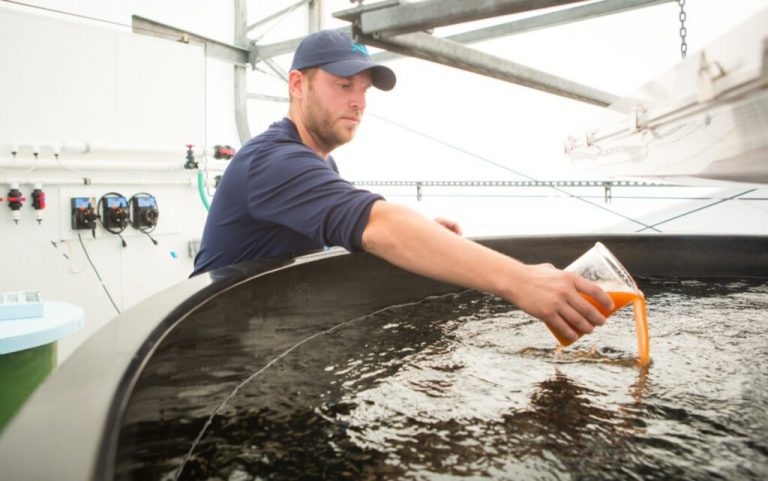 How to Properly Feed in an RAS System