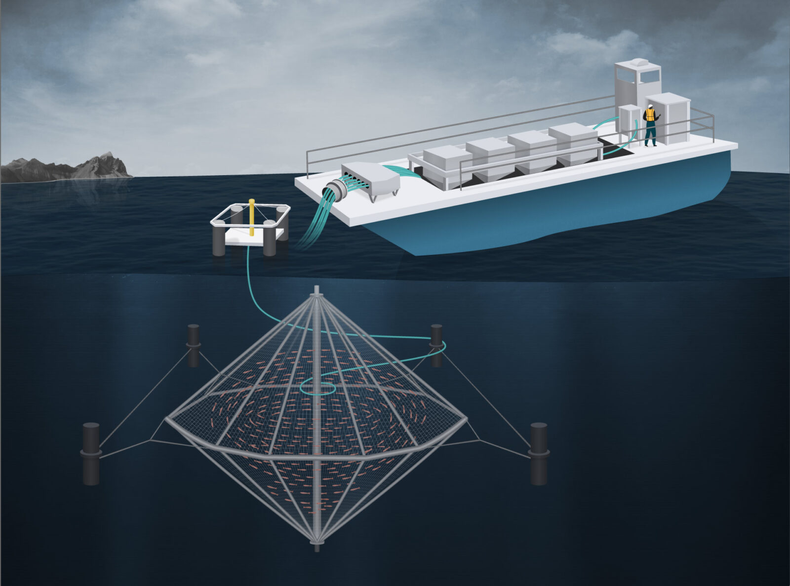 Open Ocean Aquaculture Feeding Systems - Innovasea