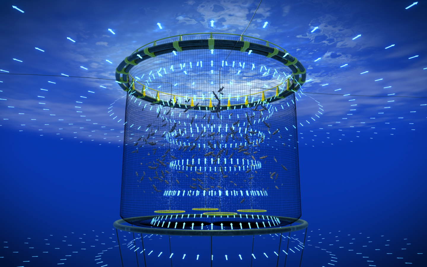 Innovasea to Use Industry Leading PCI VSA Oxygen Generators in Its ...