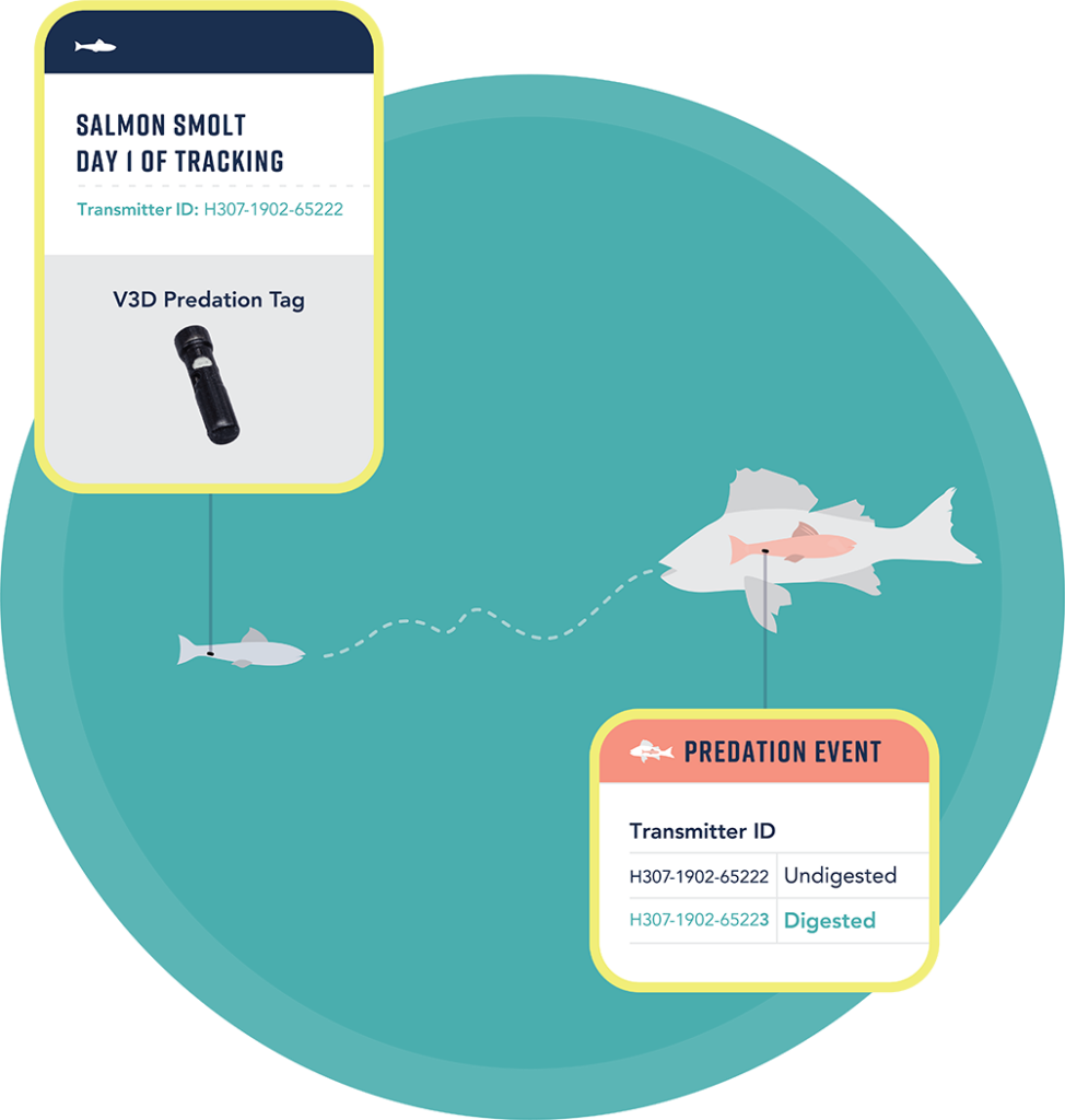 Innovasea | Predation Tags