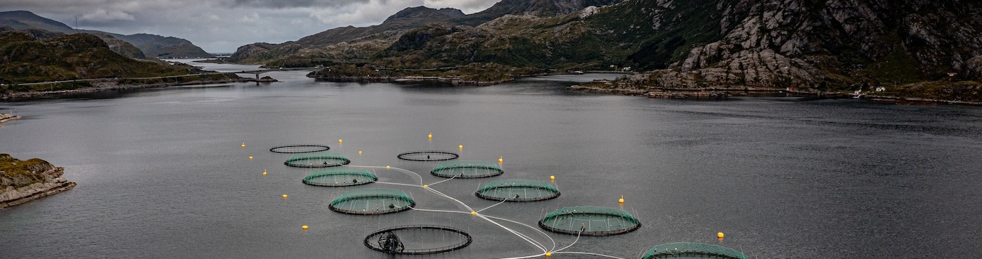 Innovasea Announces Two Key Promotions in Norway